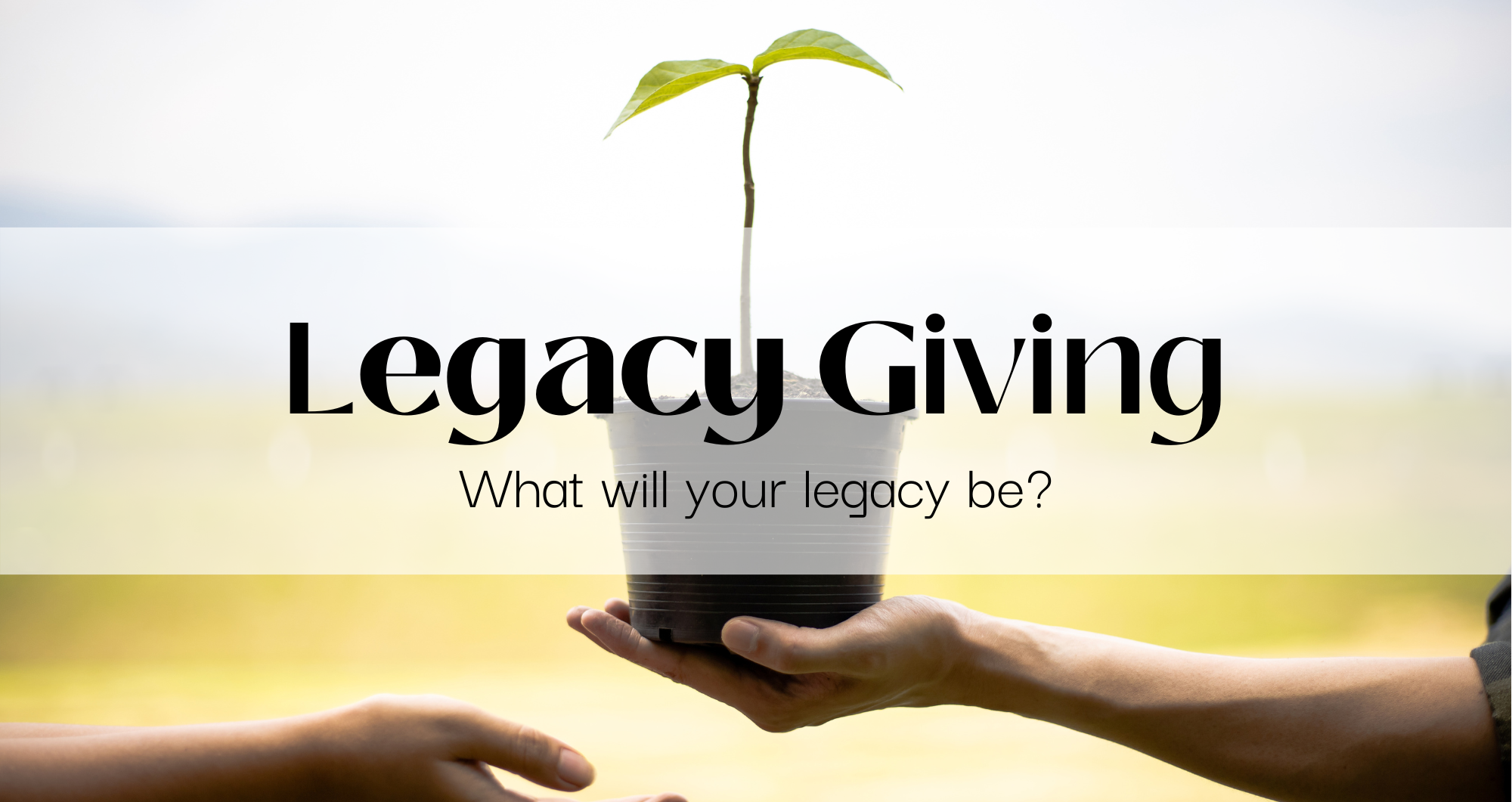 Home Nursing Foundation - Protected: LEGACY GIVING